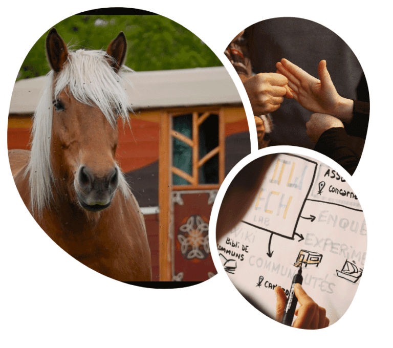 Home - Nomades des Terres