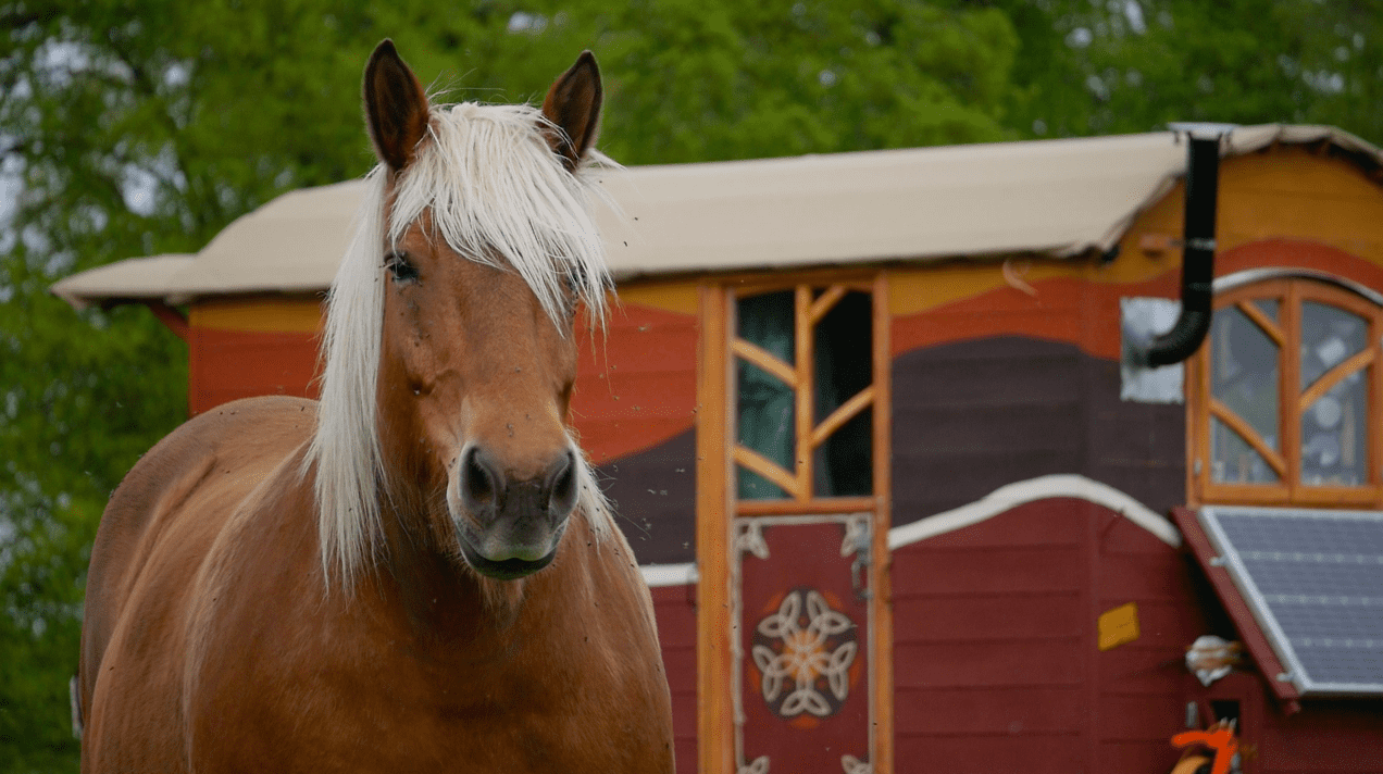 Home - Nomades des Terres