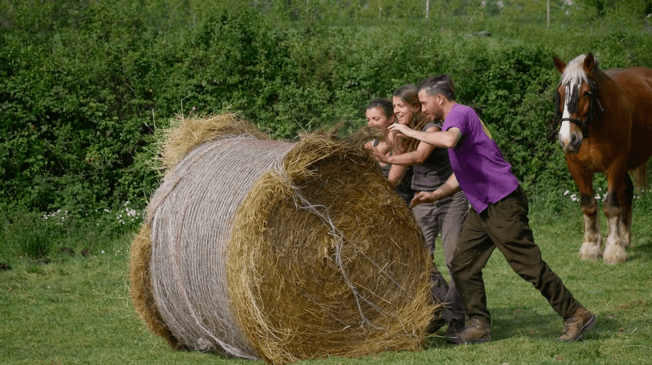 Home - Nomades des Terres