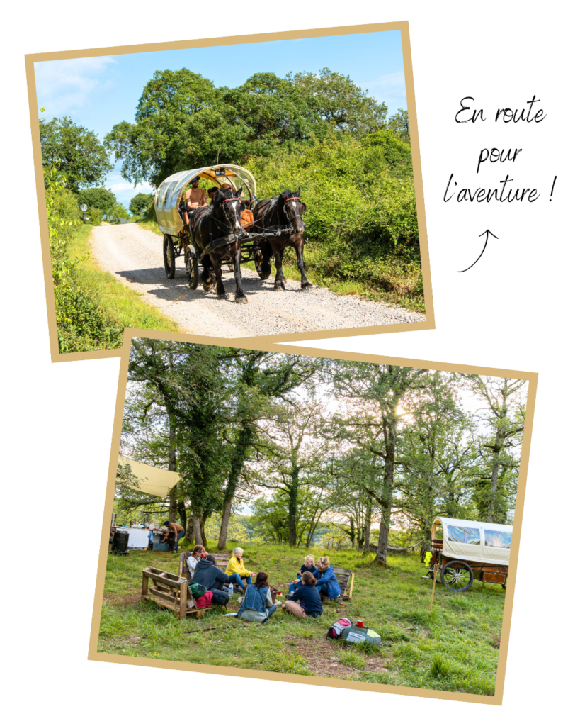 Home - Nomades des Terres